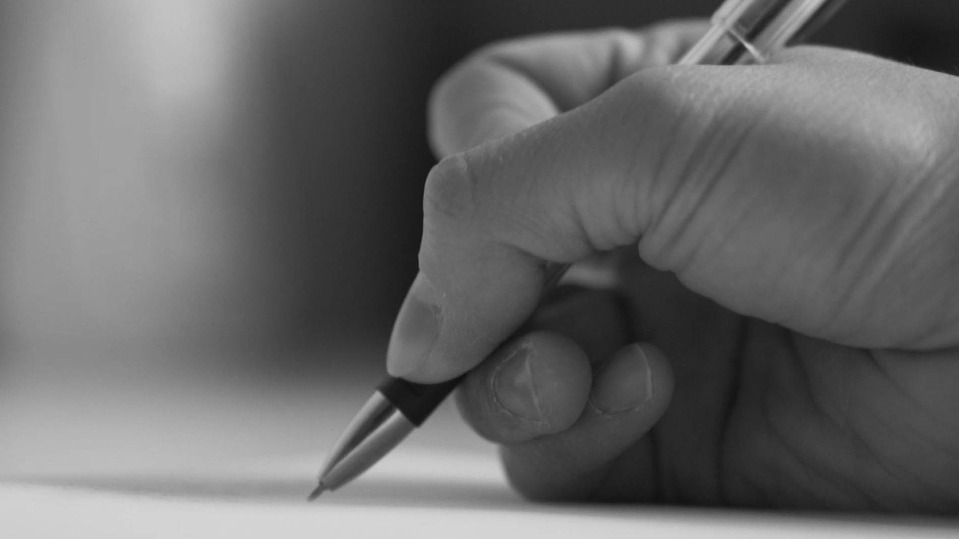 Audio Media Group – Audio Media Group